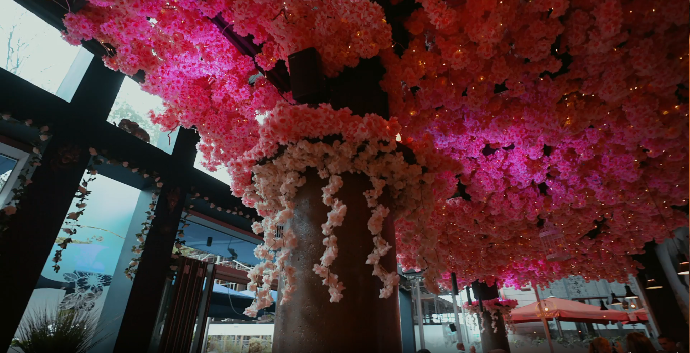 Night Out in Milton Keynes - Best Bars, Clubs & Pubs | The Almere